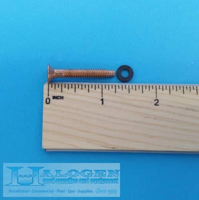 Pentair American Products Brass Pilot Screw with Captive Gum Washer ...