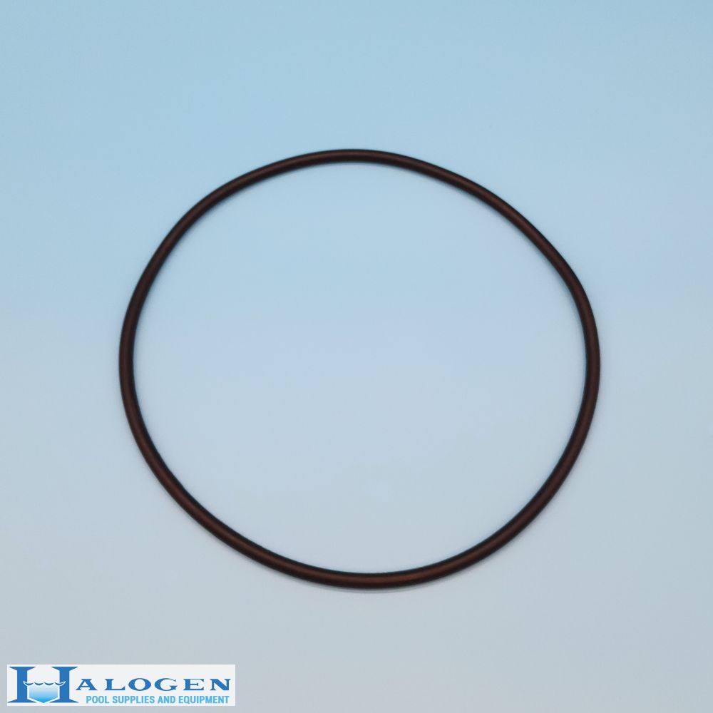 Housing Body O-ring for Pentair Clean & Clear 50 – 200 and Posi-Clear ...