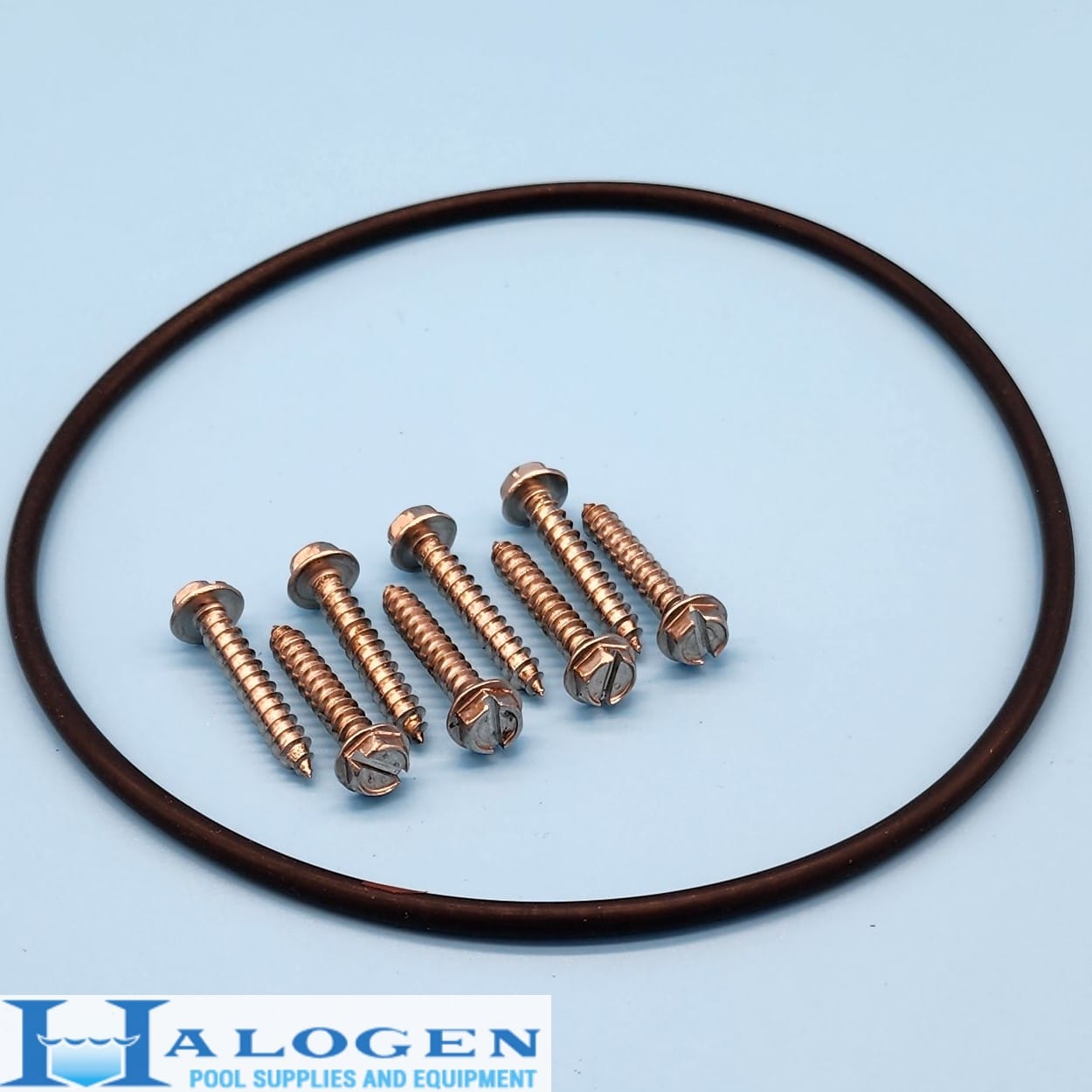 O-Ring & Screw Kit for Aquasol Chemical Controller | Halogen Supply Company