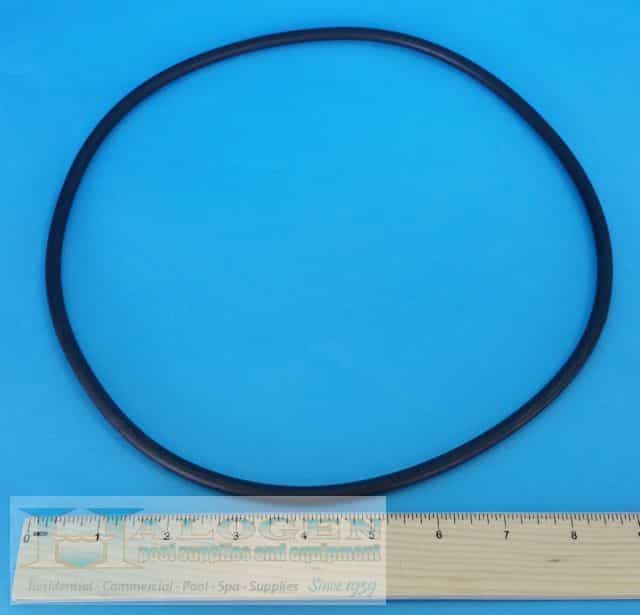 O-Ring, Lower Body for Sta-Rite Posi-Flo II PTM Cartridge Filters ...